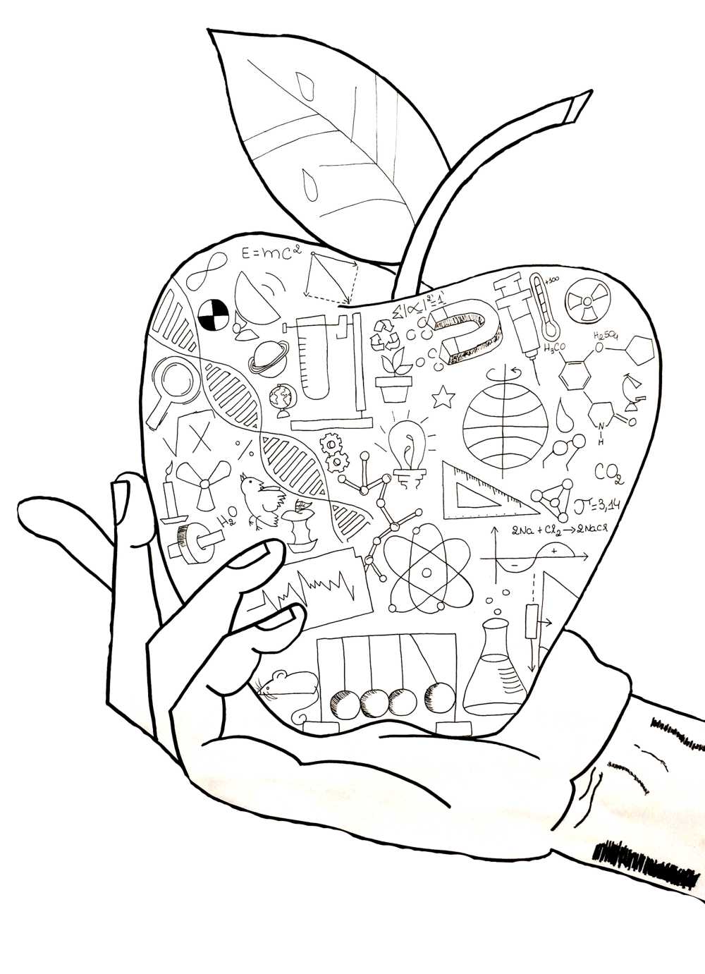 SECTI - Alunos de Vitória são finalistas no concurso de logomarcas do MCTI